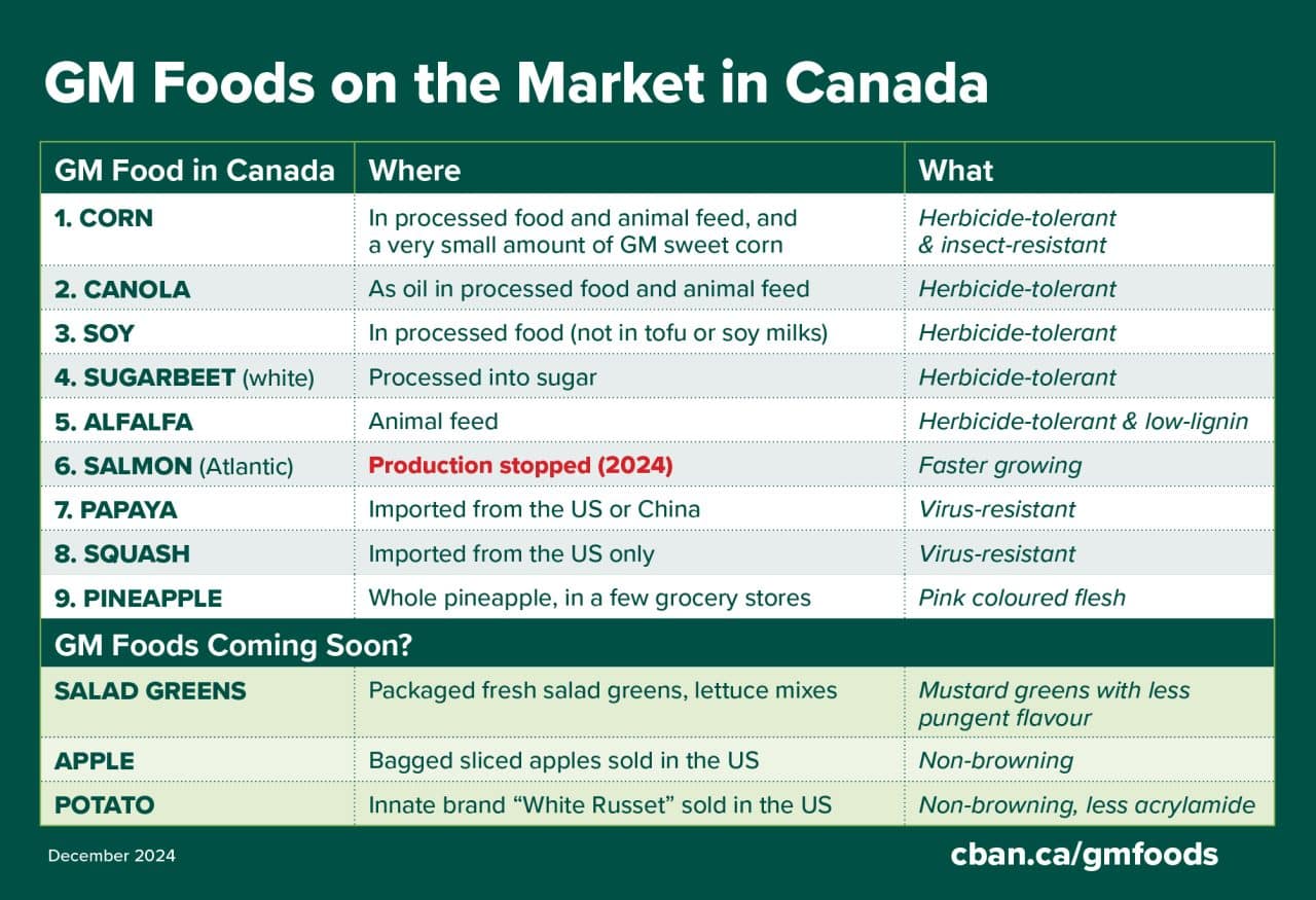 GM crops and foods on the market | CBAN