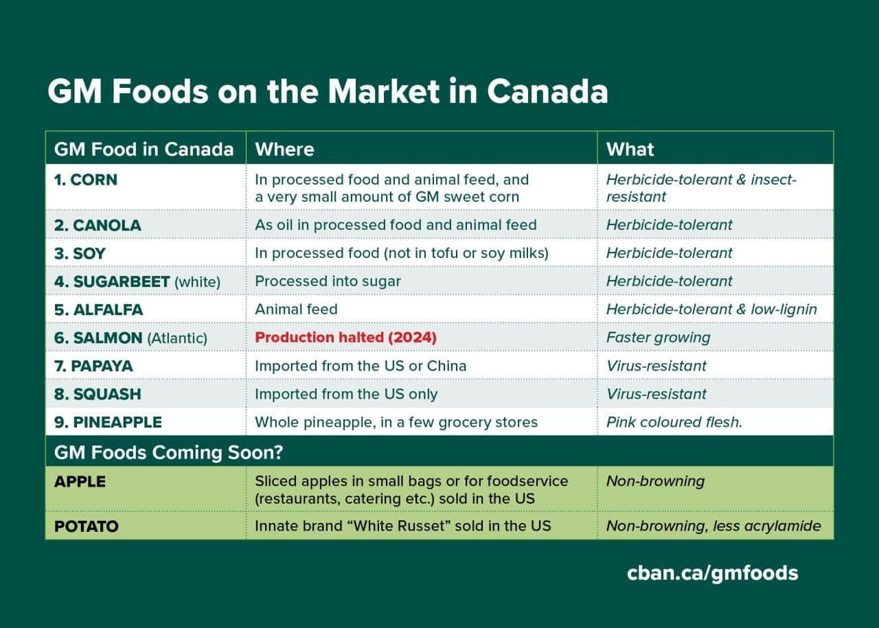 GM crops and foods on the market | CBAN