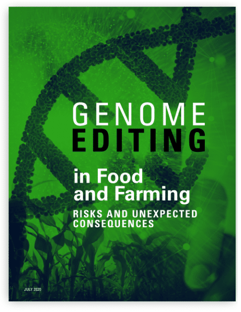 Genome Editing in Food and Farming: Risks and Unexpected Consequences ...