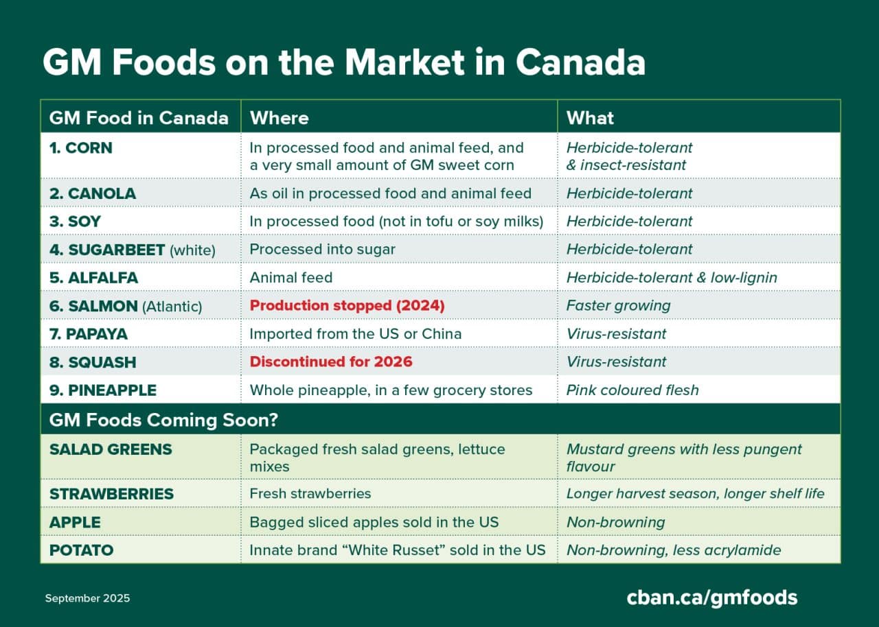 GM crops and foods on the market | CBAN