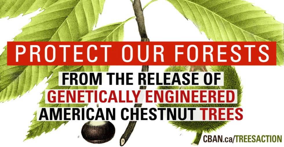 Stop GE Trees | CBAN